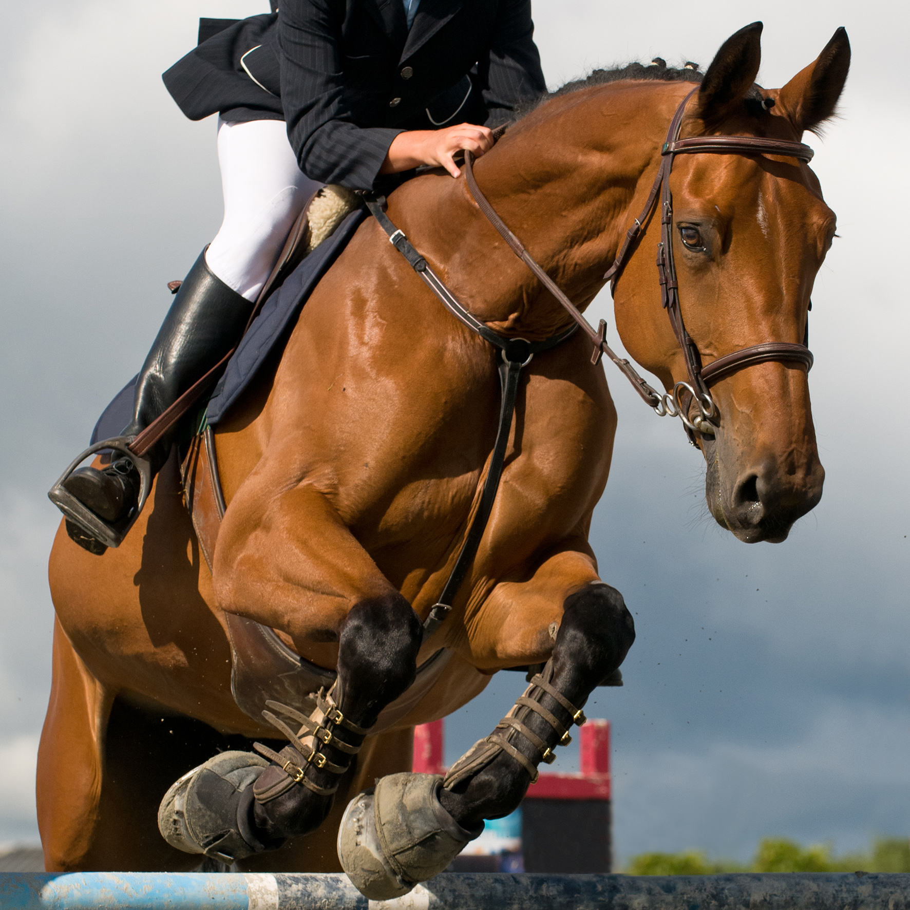 Galleries » Border Riding Club